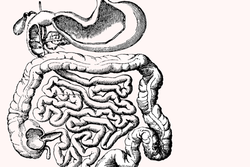 Do you have IBS? - it’s one of the world's most prevalent diseases ...